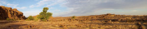 Het Symfonio Project: authentieke Afrikaanse voedingsproducten