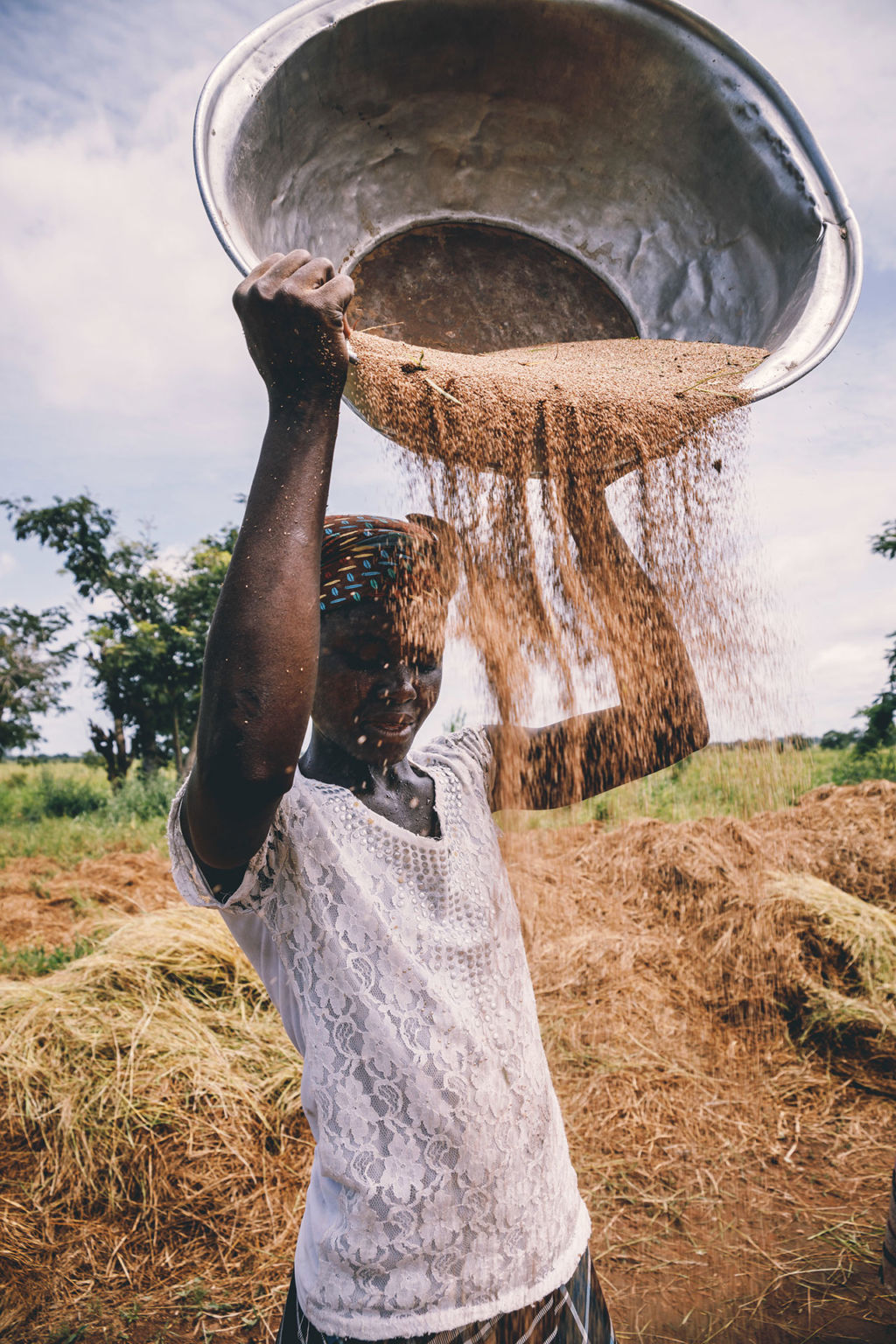 Fonio: the Symfonio project - All about fonio - Symfonio